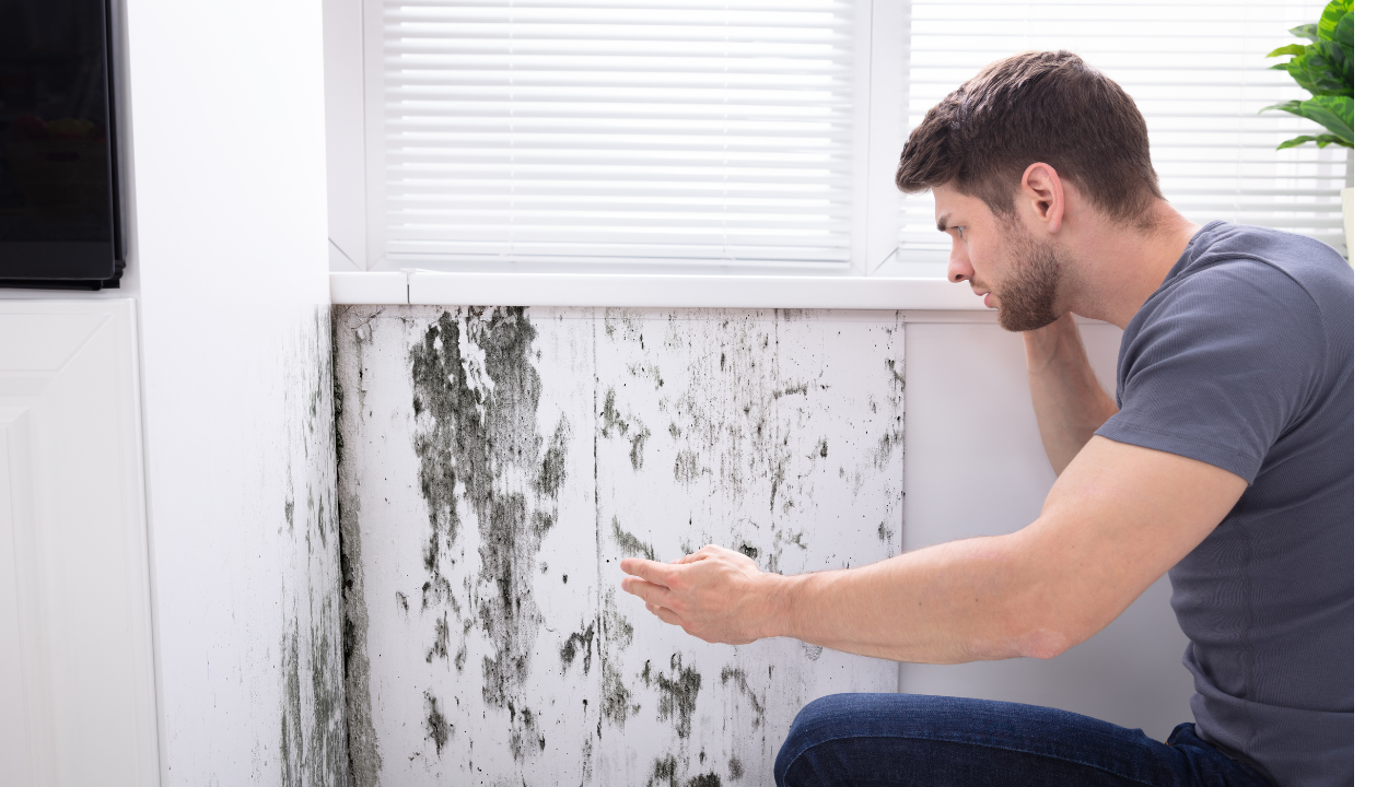 Free Mold Test & Home Inspection — Beach front claims